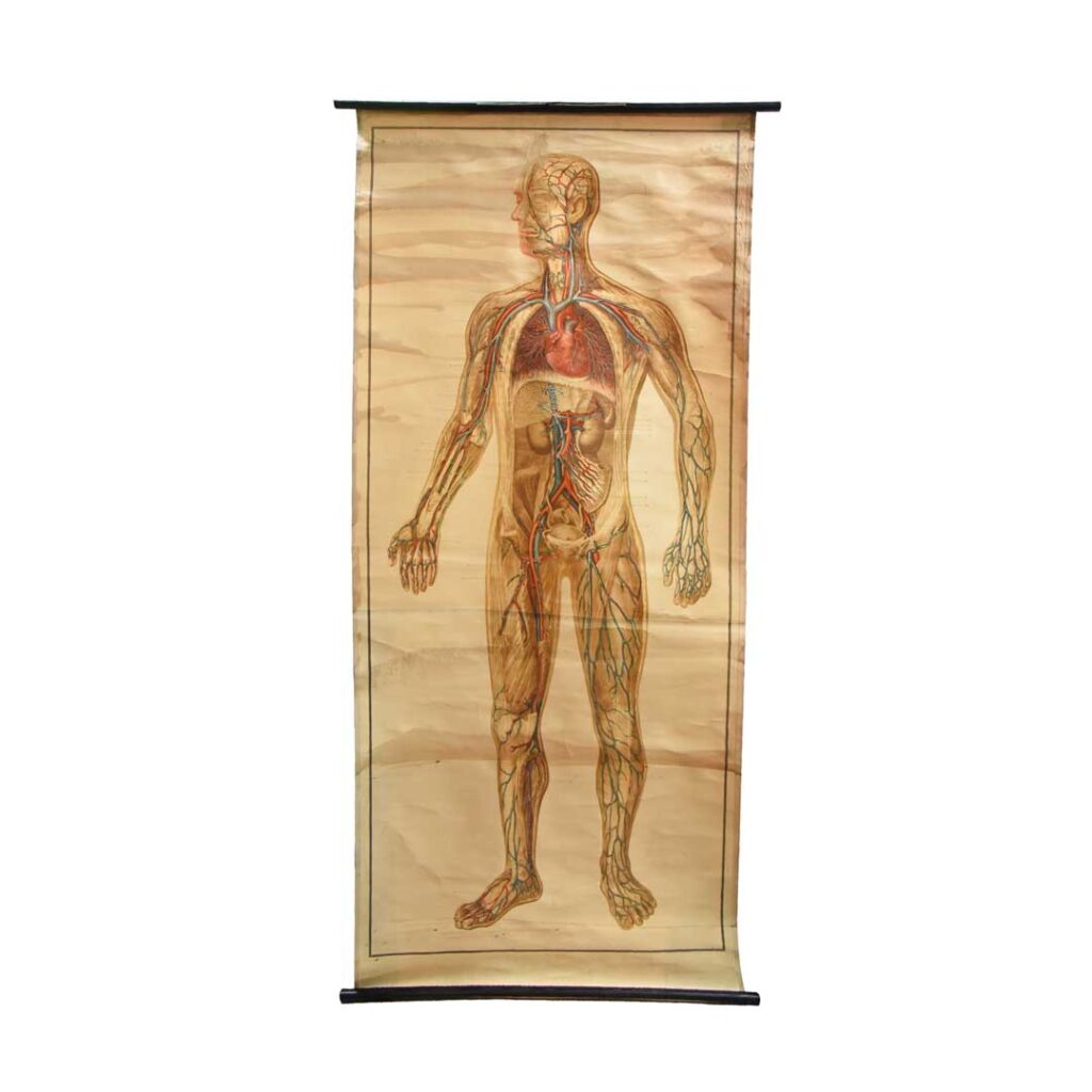 Tienda - Página 4 de 18 - Viriathus Tienda en Línea